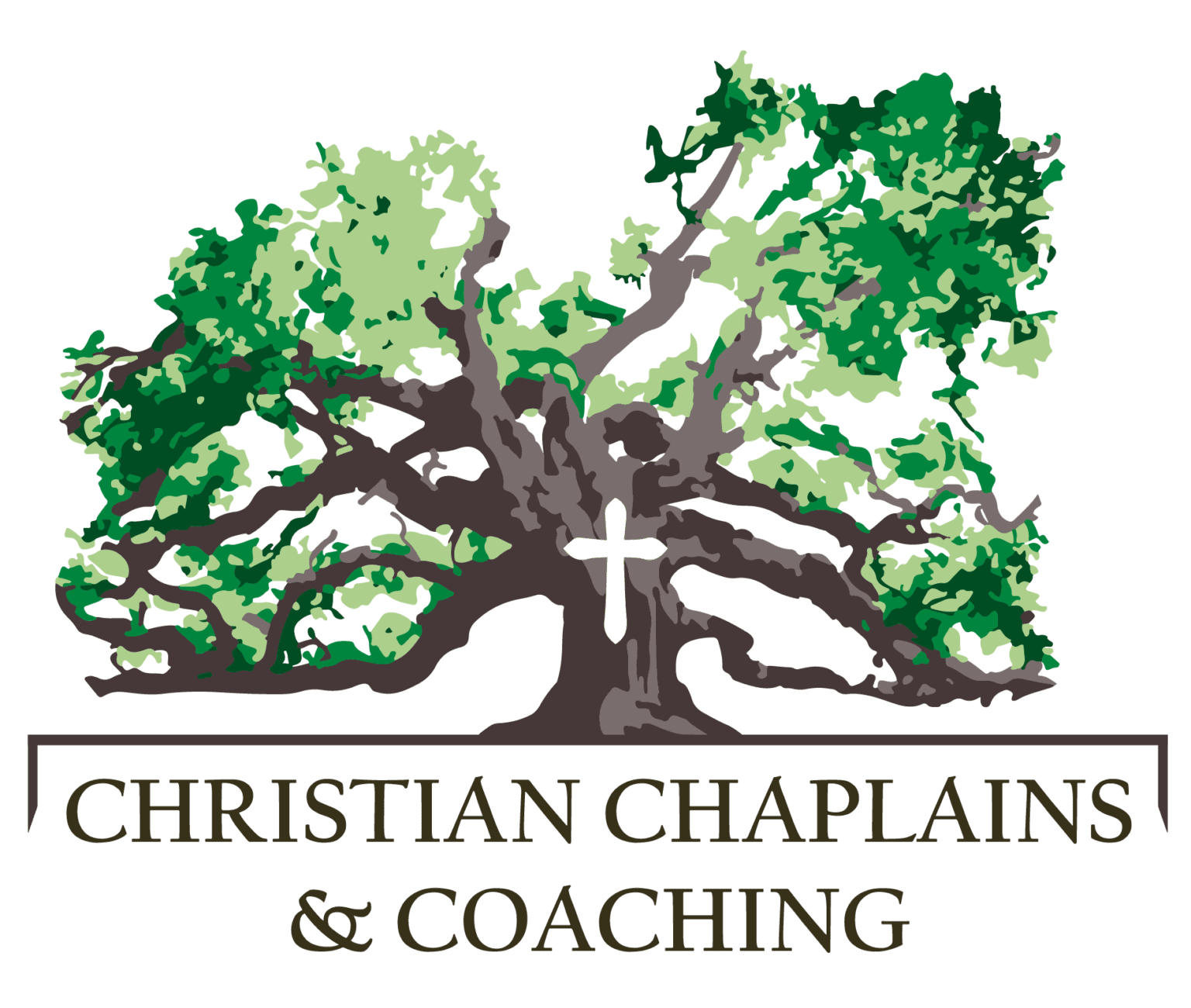CMCA 2026 Correctional Ministries Summit - Wheaton Billy Graham